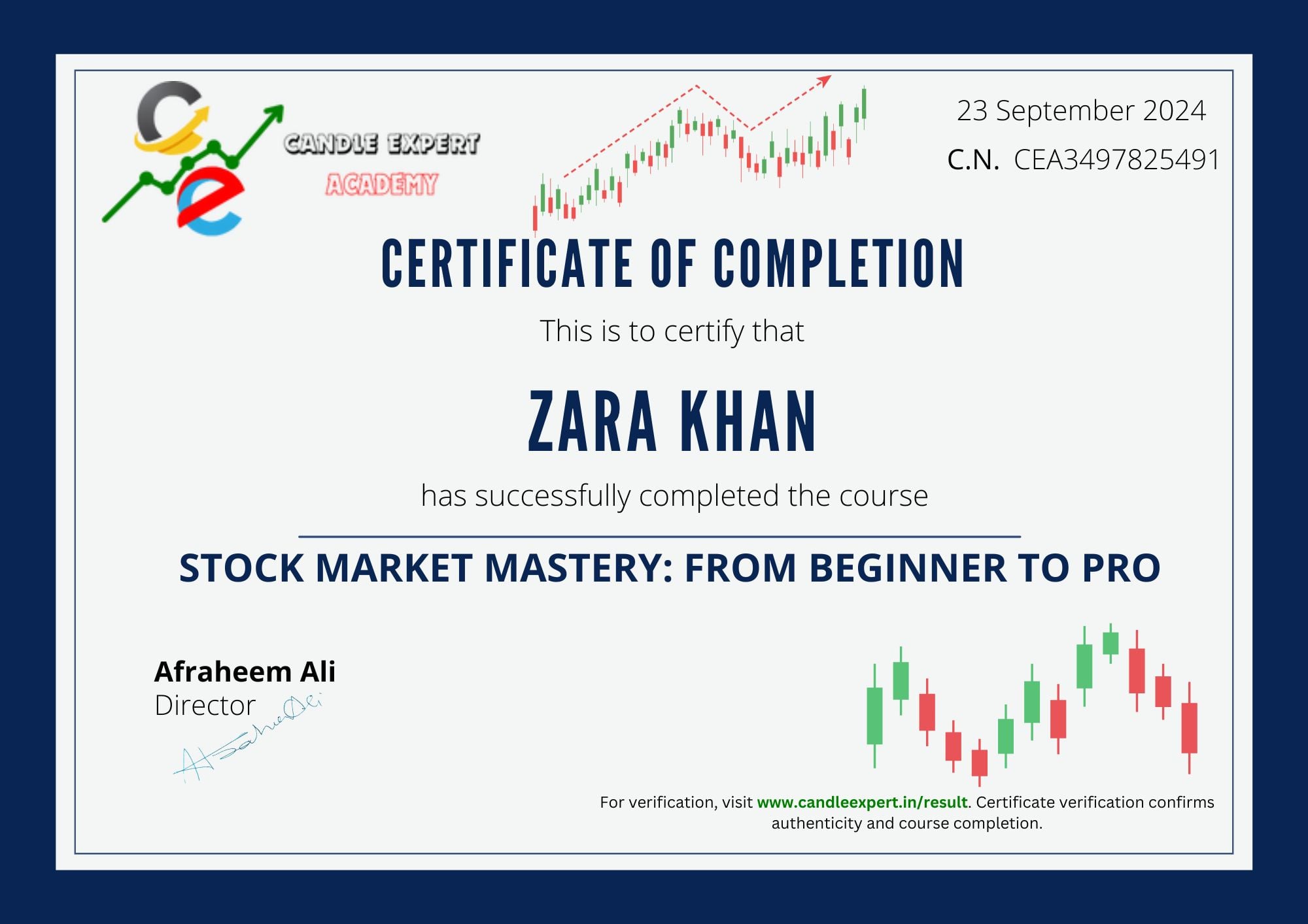 Stock Market Mastery: From Beginner to Pro
