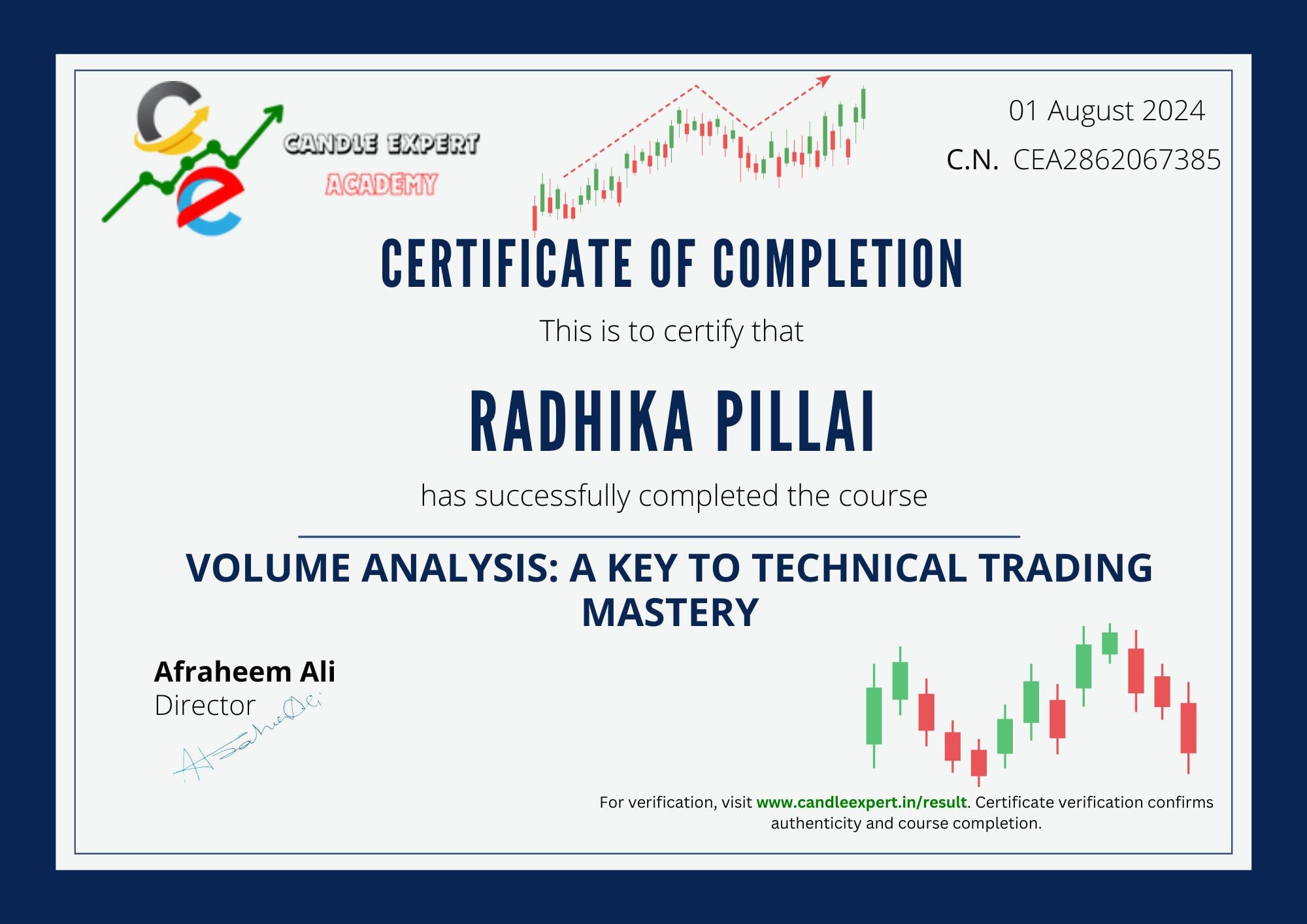 Volume Analysis: A Key to Technical Trading Mastery